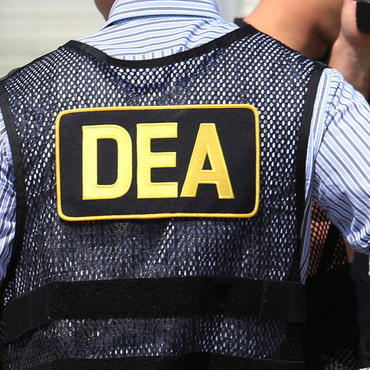 Over 600 people arrested in operations targeting Sinaloa drug cartel ...