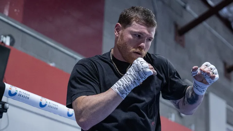 Canelo Alvarez net worth: Purse history, career earnings for ...