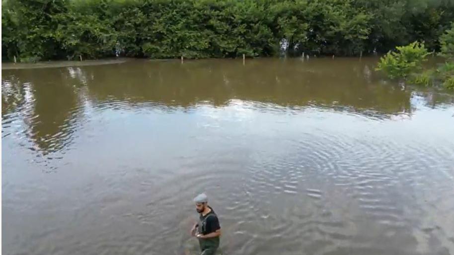 Couple 'devastated' as 270 sheep drown in farm flood