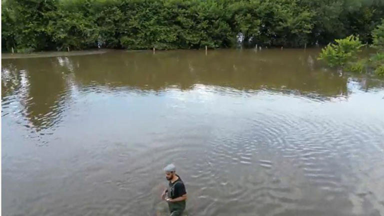 Couple 'devastated' as 270 sheep drown in farm flood