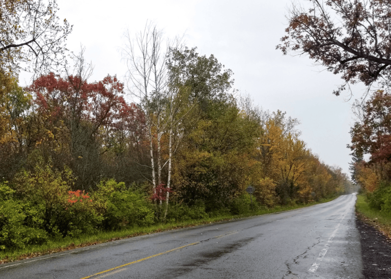 Do you live in one of the best places in New York to raise a family ...