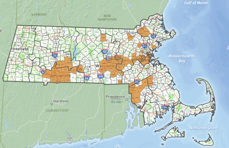 Cape Cod on High Alert as Invasive Pest Spreads Through Massachusetts
