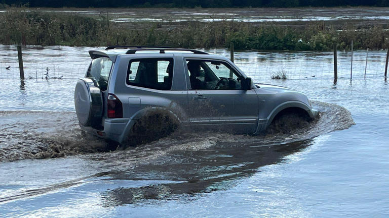 Couple 'devastated' as 270 sheep drown in farm flood