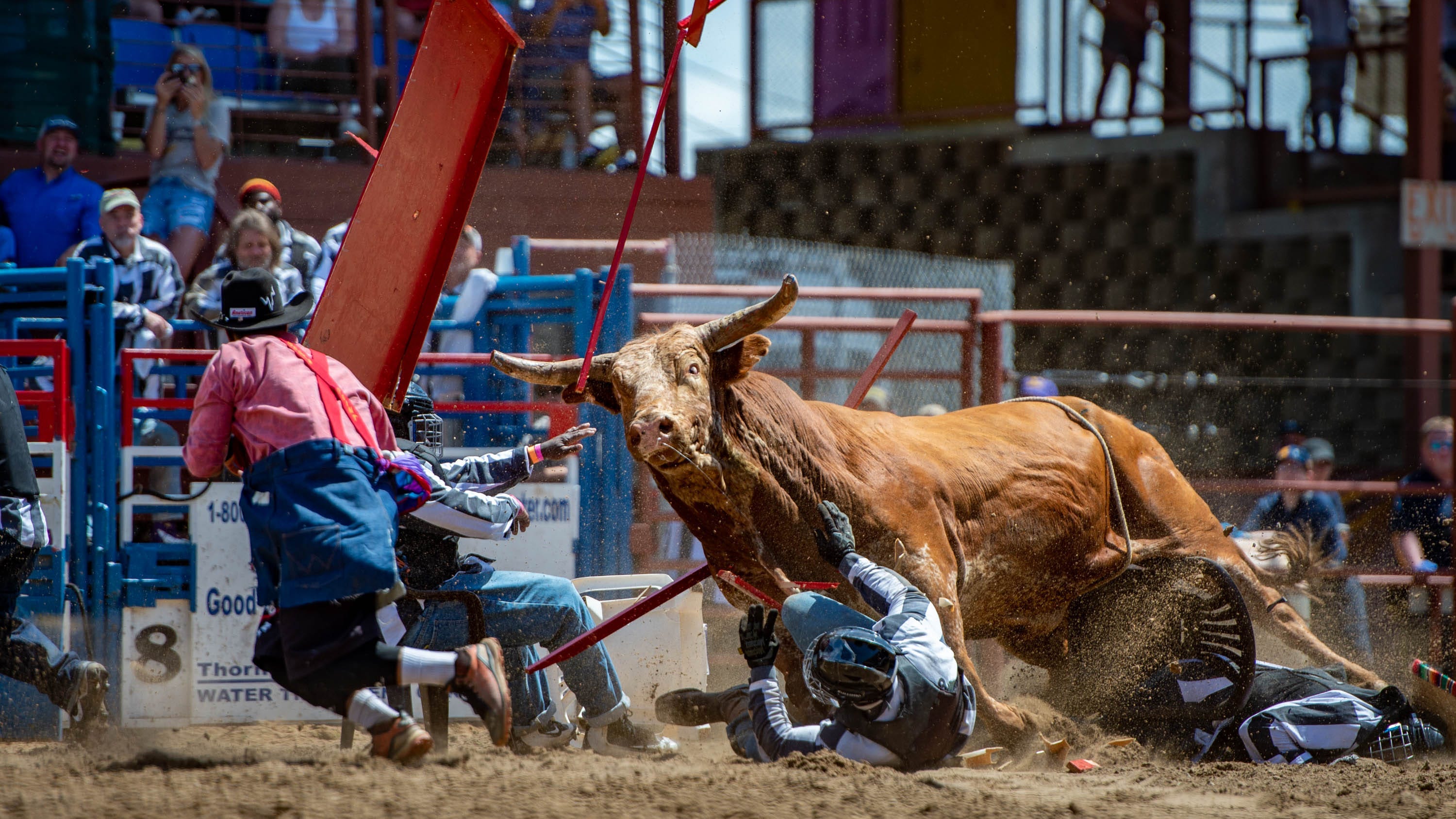 What is the Angola Prison Rodeo? What to know about the event featuring ...