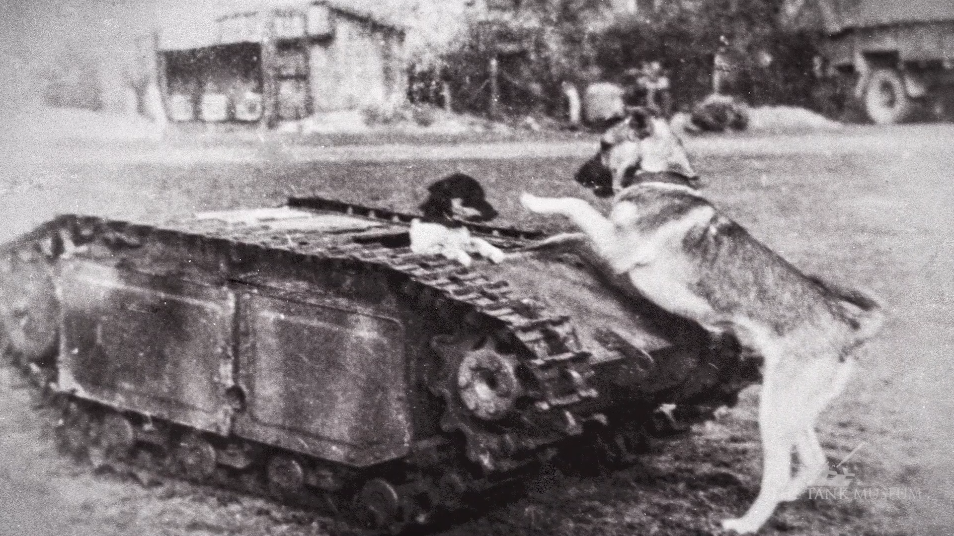 WWII remote-controlled demolition vehicle