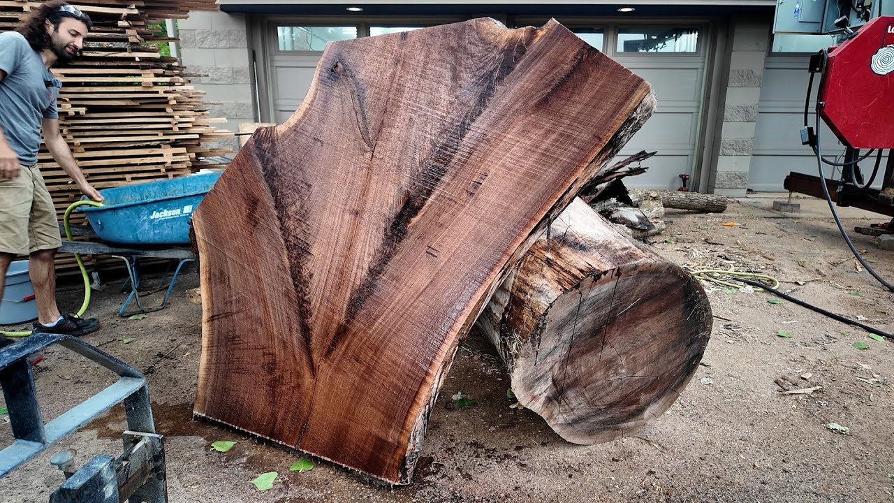 I built my own sawmill! Here’s how 🌳