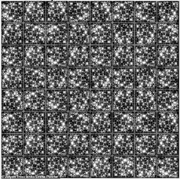 Do you see straight or curved lines? 'Irritating' optical illusion ...