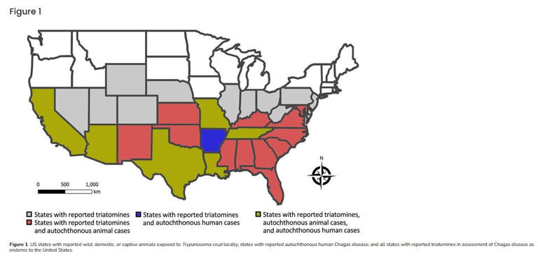 CDC releases details on Chagas, an emerging disease that’s spread by ...