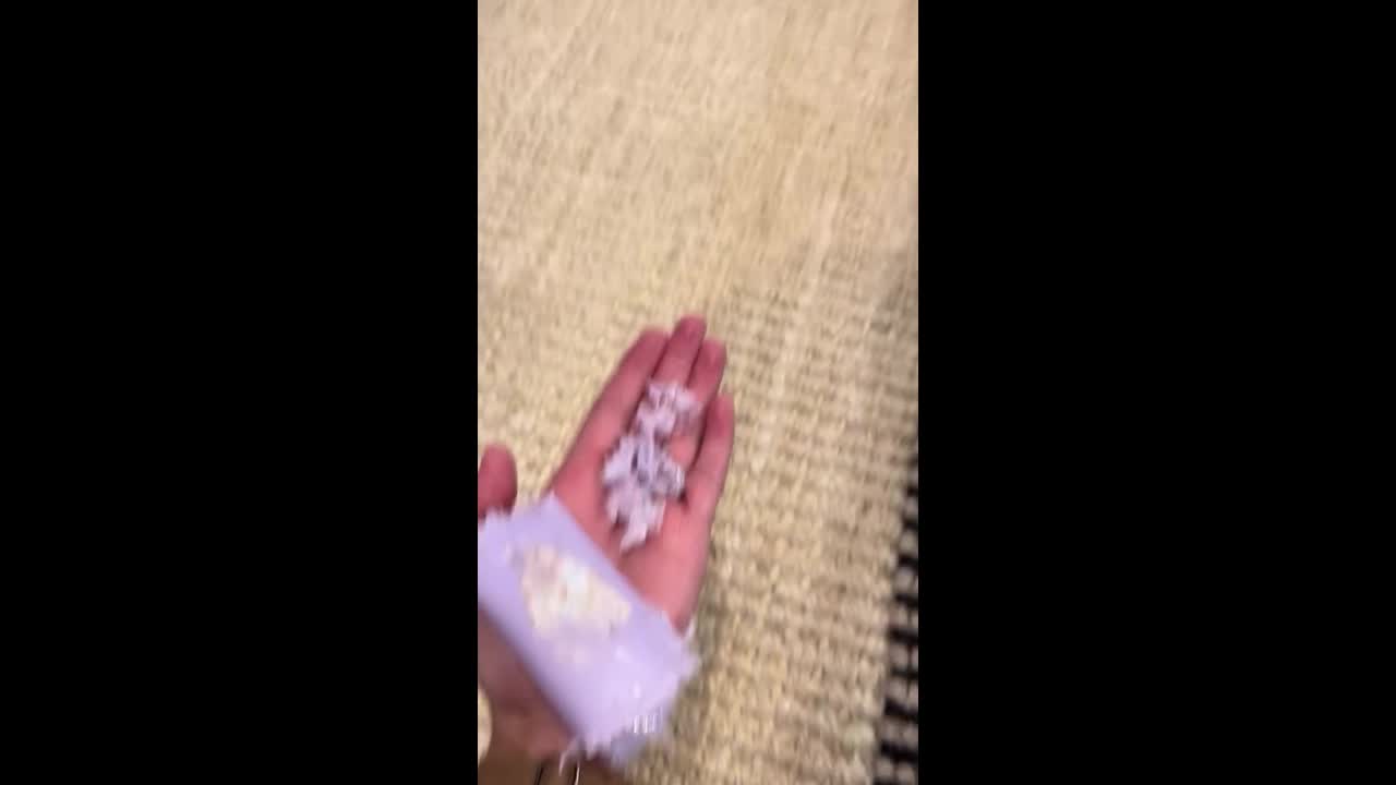Dog’s guilty reaction after chewing lotion bottle in Marietta, Georgia