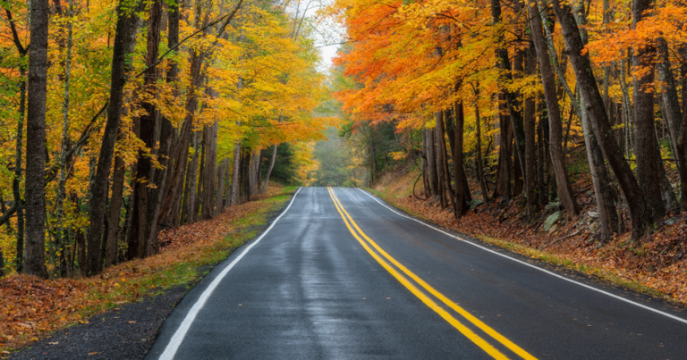 Here Are the Best Times and Places to View Virginia's Fall Foliage in 2025