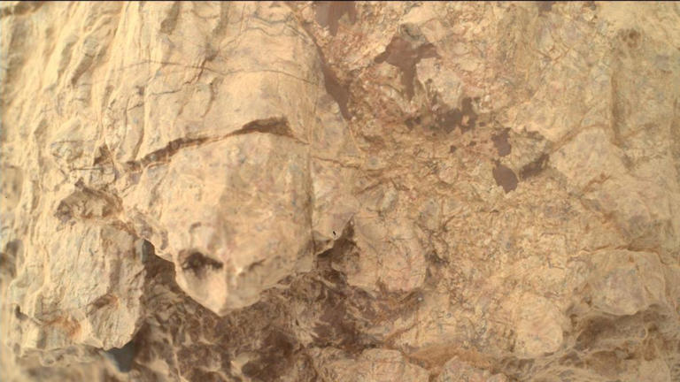 NASA rover spots bizarre 'turtle' hiding among ancient rocks on Mars