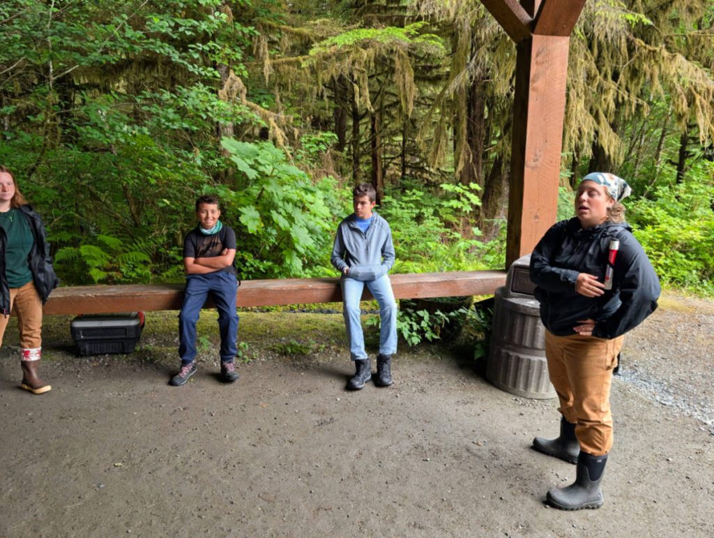 Kawanti Adventures Black Bear Express for Wildlife Watching in Ketchikan
