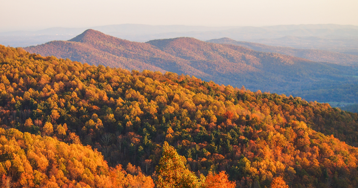 Here Are the Best Times and Places to View Virginia's Fall Foliage in 2025