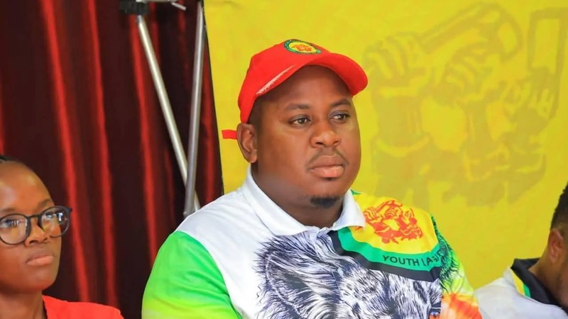 ANCYL Limpopo member Nkateko Mbhoma shot dead while travelling to Kimberely