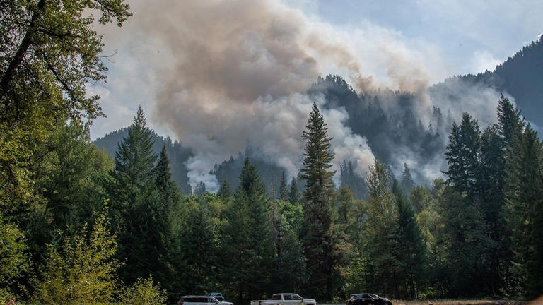 Foley Ridge Fire ignites Saturday east of McKenzie (PHOTOS)