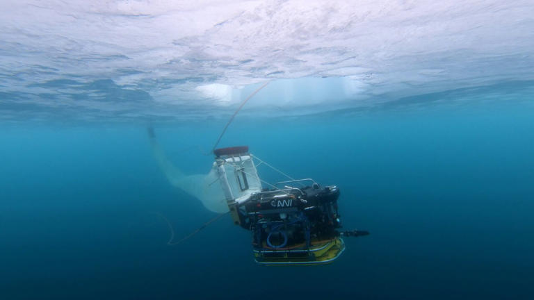 Unique concept for observing Arctic sea ice successfully implemented