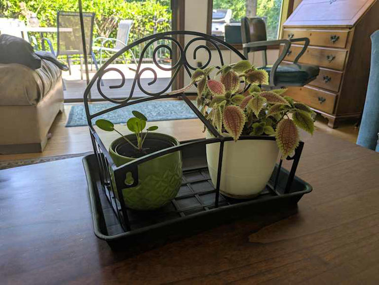 I Put a Hose Holder Inside My House, and It Was Brilliant