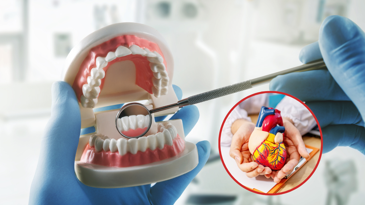 Can Bad Oral Health Lead To Heart Attacks? Study Reveals Mouth-Cardiovascular Link