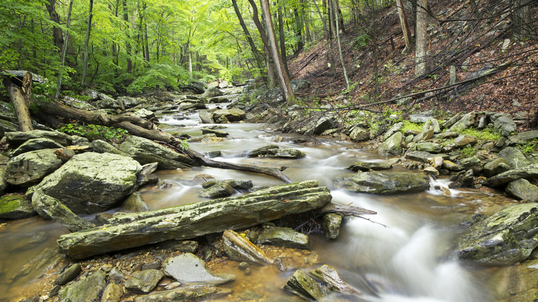 Maryland's 'Gateway To The Mountains' Is Surrounded By Scenic Trails ...