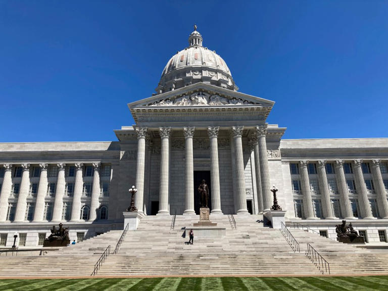 Missouri Democratic Party plans to protest redistricting at State ...