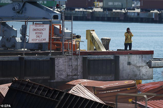 Chaos at massive cargo port in Los Angeles as dozens of shipping ...