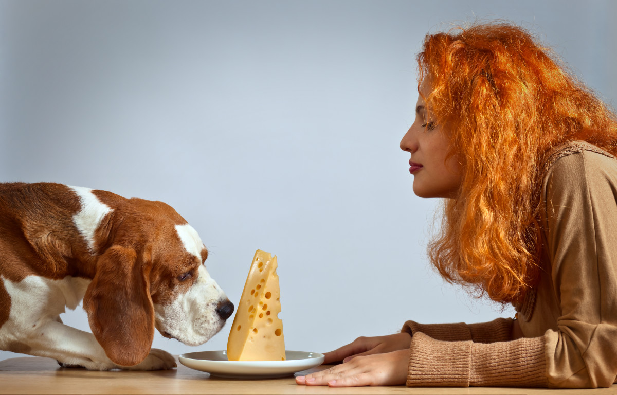 TikTok’s $1 Cheese Hack Is the Crunchy Dog Treat Your Pup Deserves