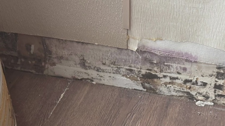 Judge rules lawsuit against Ohio State involving Lawrence Tower mold ...