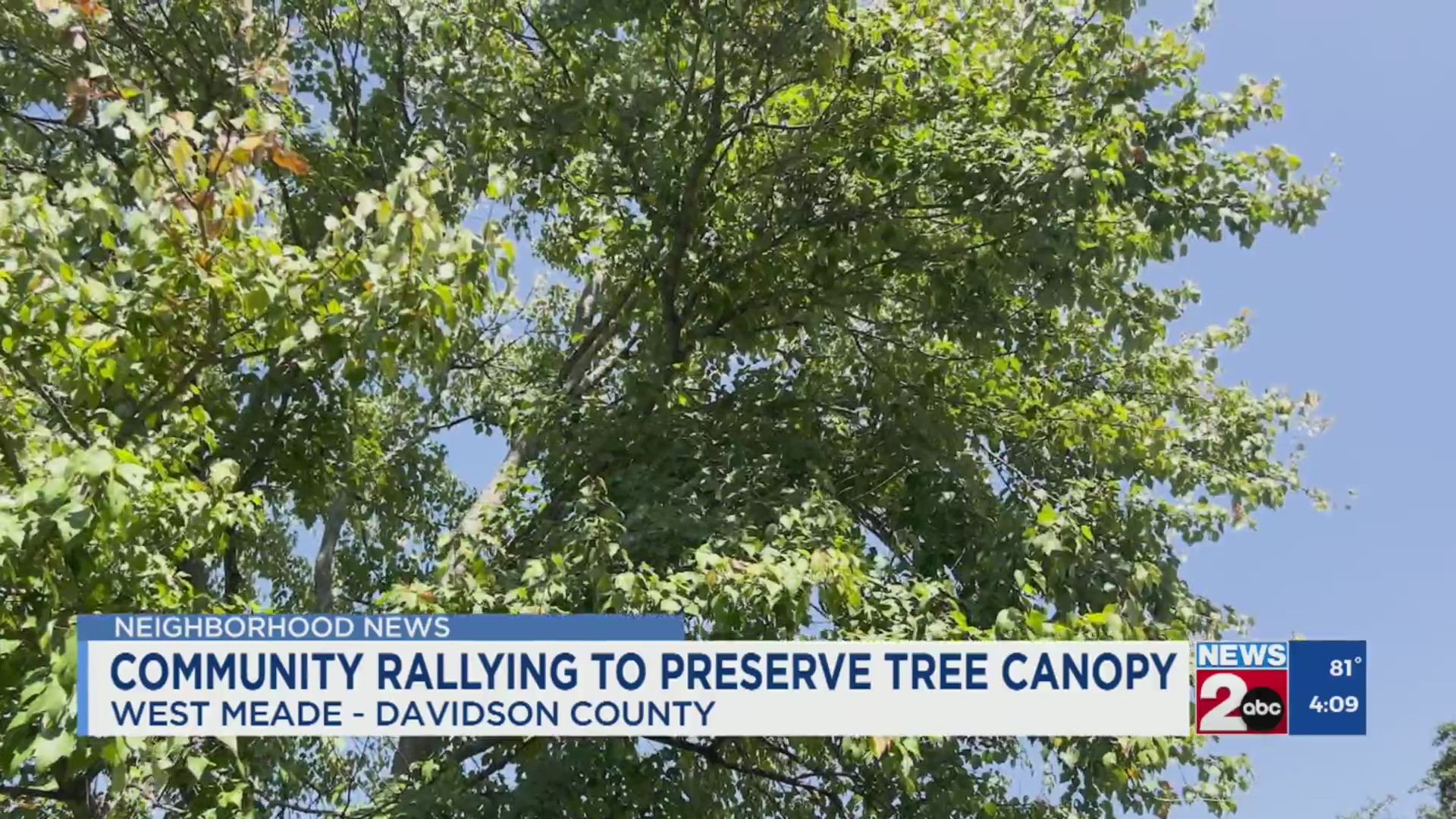 West Meade residents rallying to preserve tree canopy