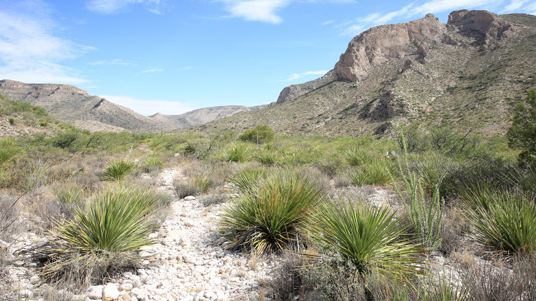 Carlsbad Caverns' Secret Trail With A Gruesome Name Hides A Side Of The ...