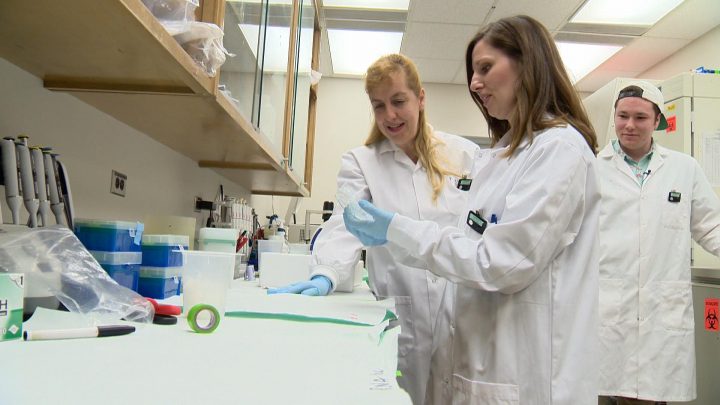 Saskatchewan health care gets a boost with U of S physician assistant ...
