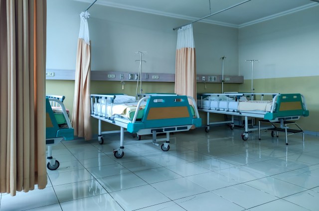 CDC announces 'kissing bug' disease now endemic to US: 'Often fatal by ...