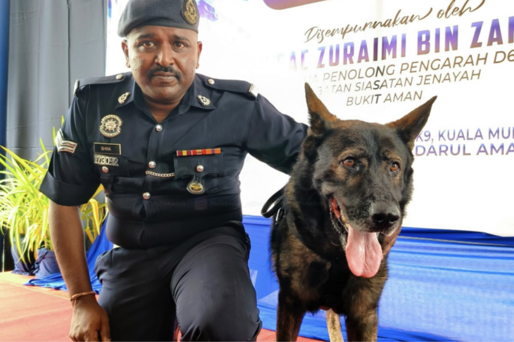 From force to family: Goran the German Shepherd becomes PDRM’s first ...