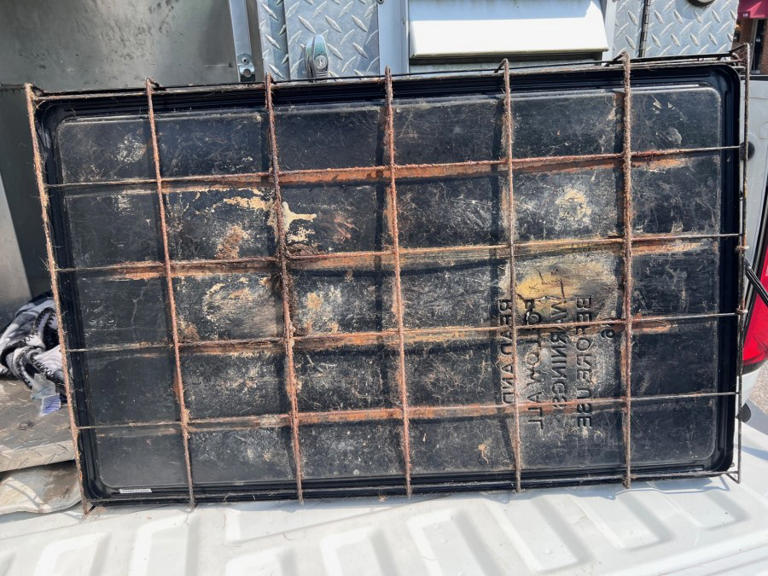 Dogs covered in urine, feces abandoned outside of Colonial Heights shelter