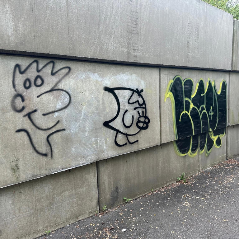 Naugatuck police looking to identify graffiti found in park