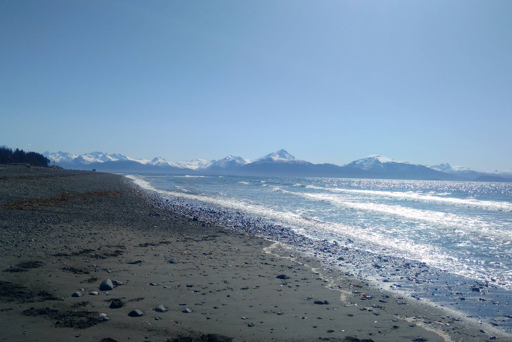 State issues alert for toxic shellfish found in Kachemak Bay