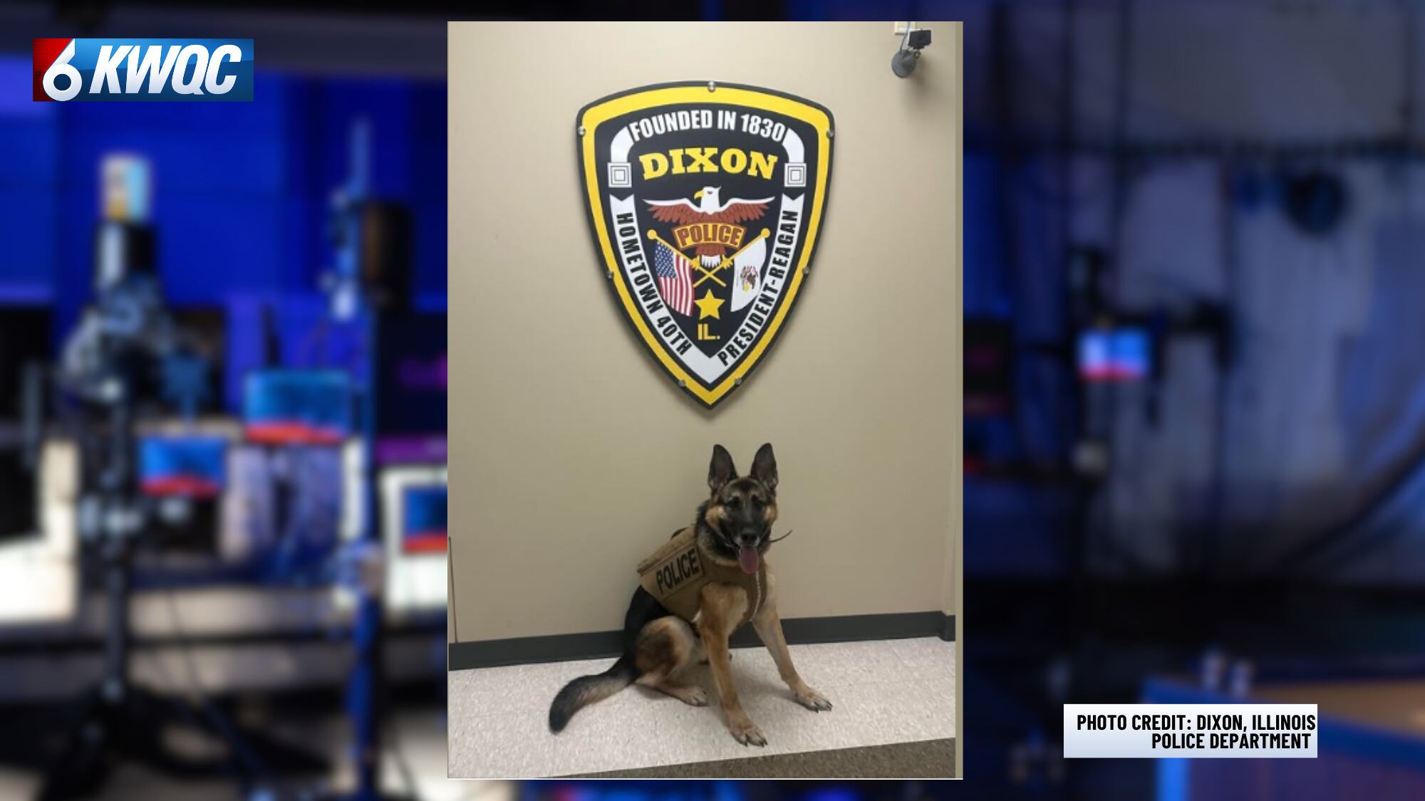 Dixon K-9 receives bullet, stab protective vest