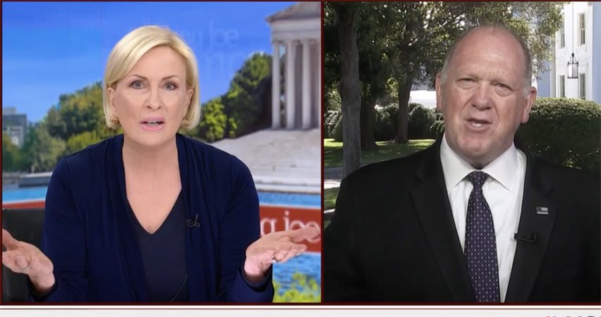 'That's why I'm asking you!' Mika Brzezinski pounces on Tom Homan for ...