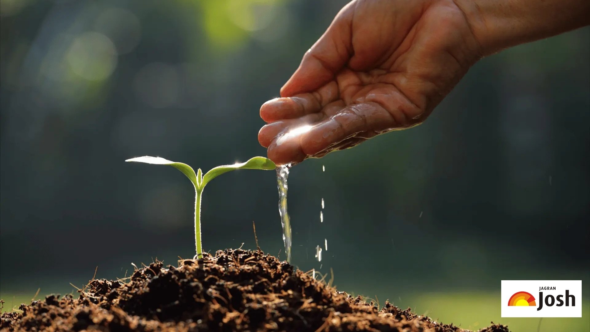 Types of Soil: 12 Classifications, 6 Main Types & the World’s Best ...