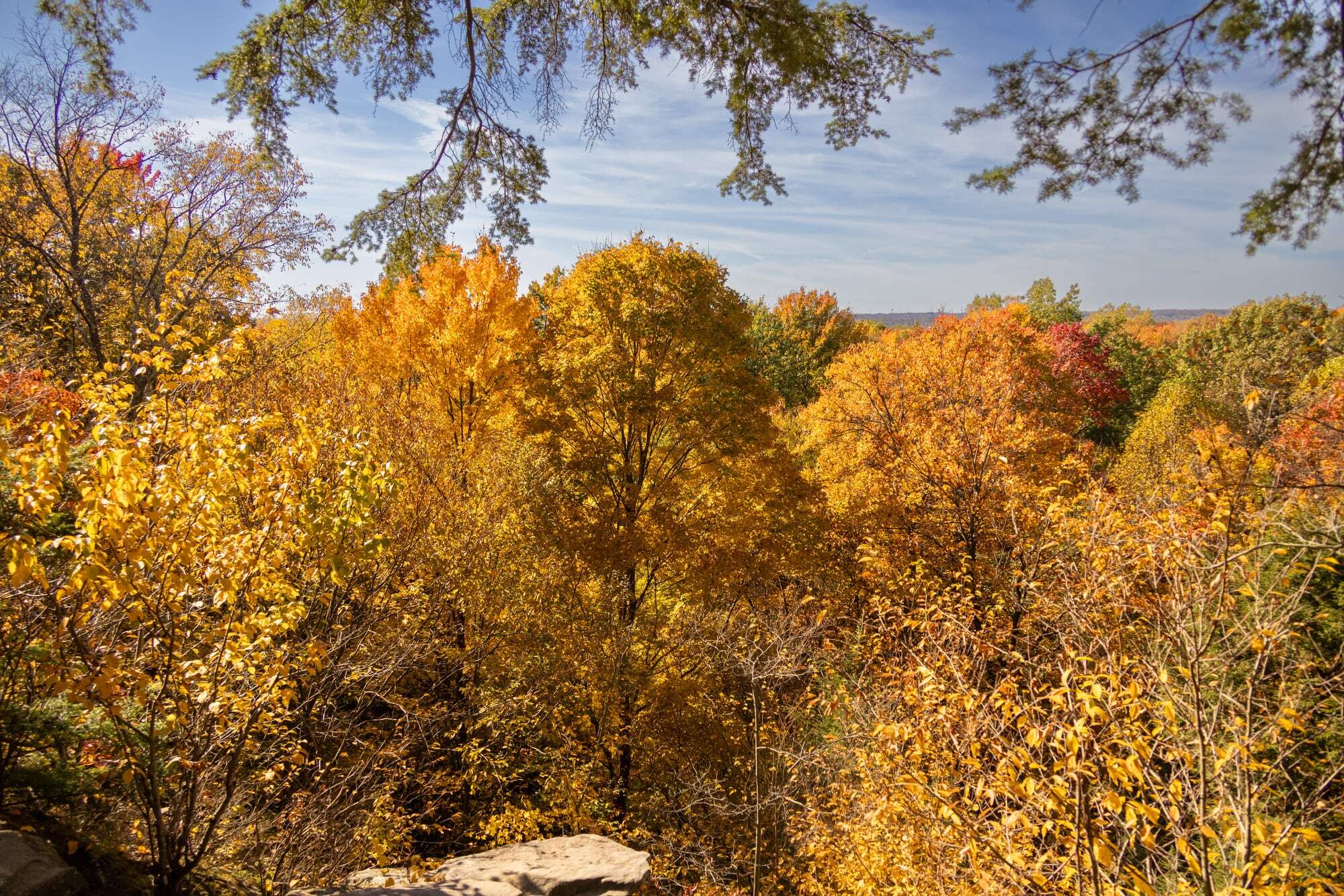 Porn actress sentenced to 22.5 years in Cuyahoga Valley National Park ...