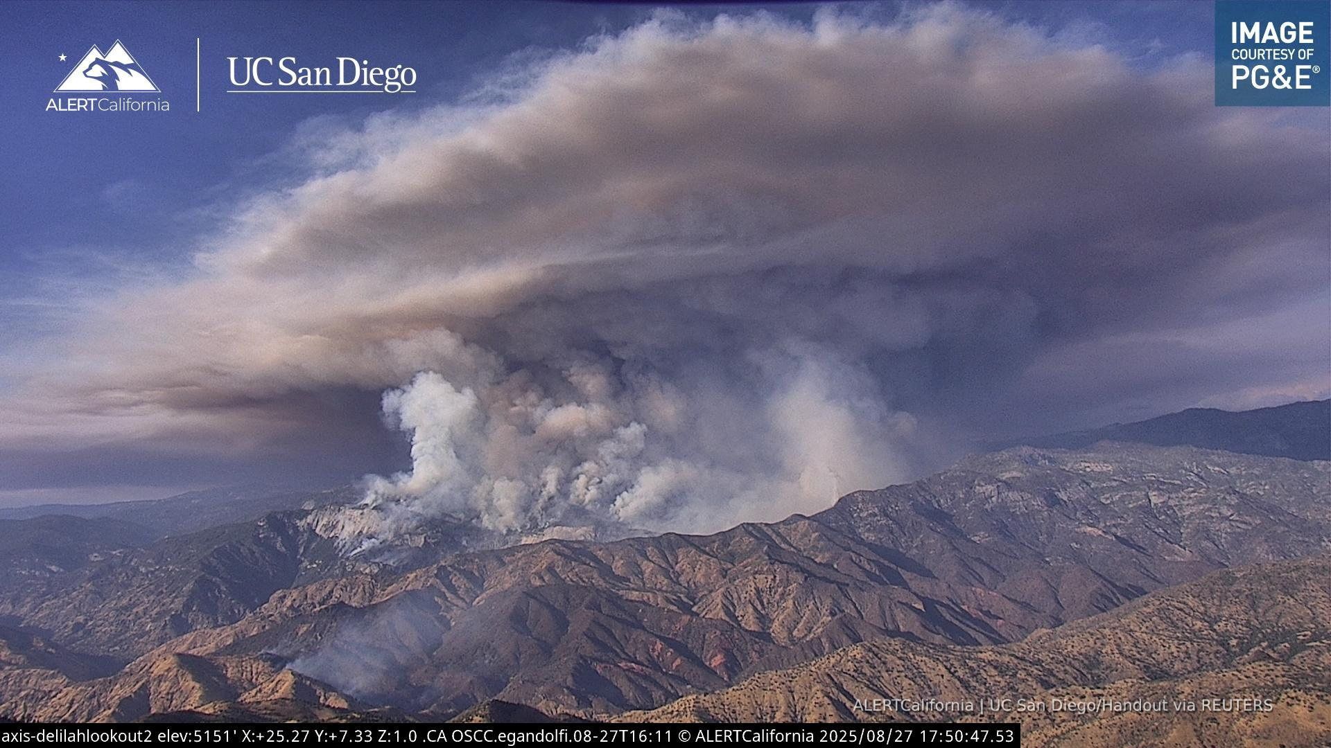 Firefighters race to protect 2,000-year-old sequoia grove from burning