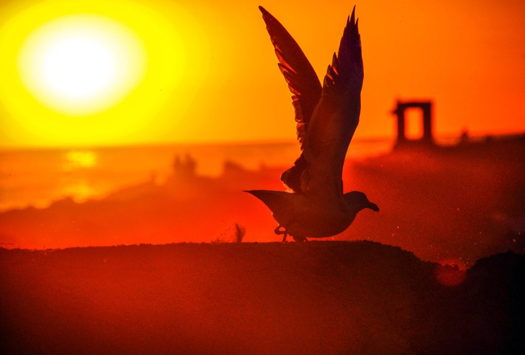 New climate reports show 2025 was third straight year of record-setting ...