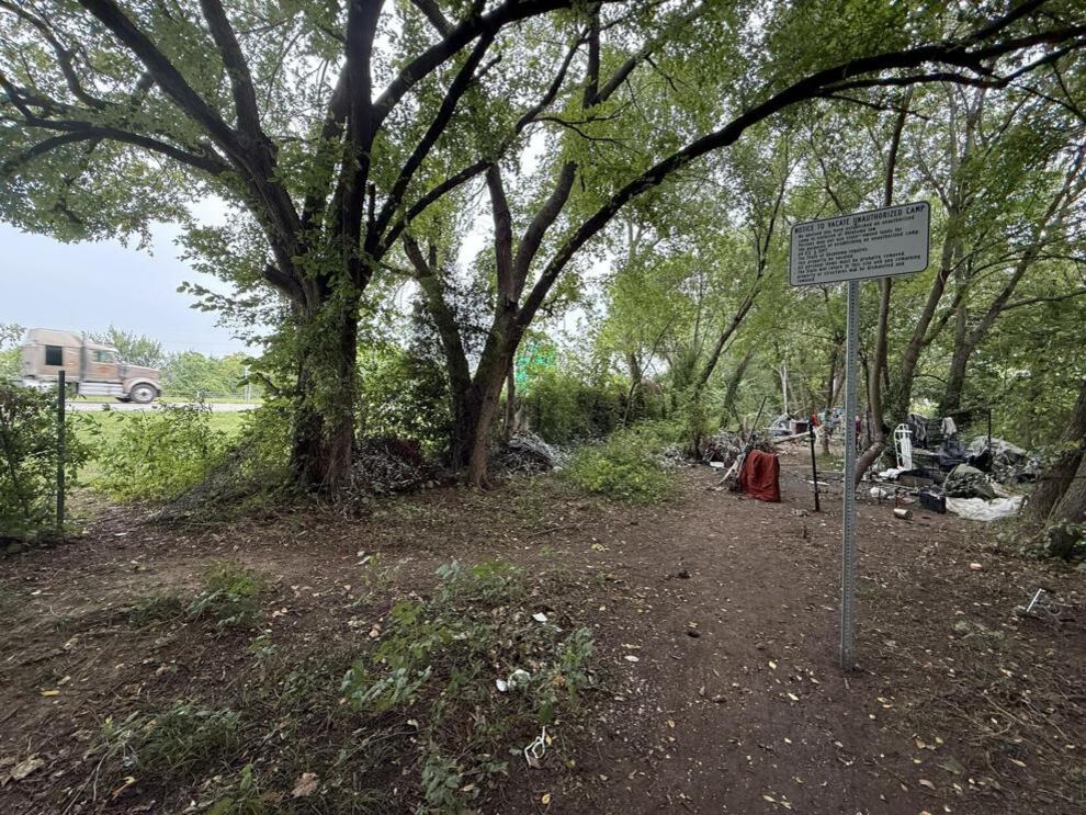 Dog shot by OHP during Operation SAFE has been euthanized