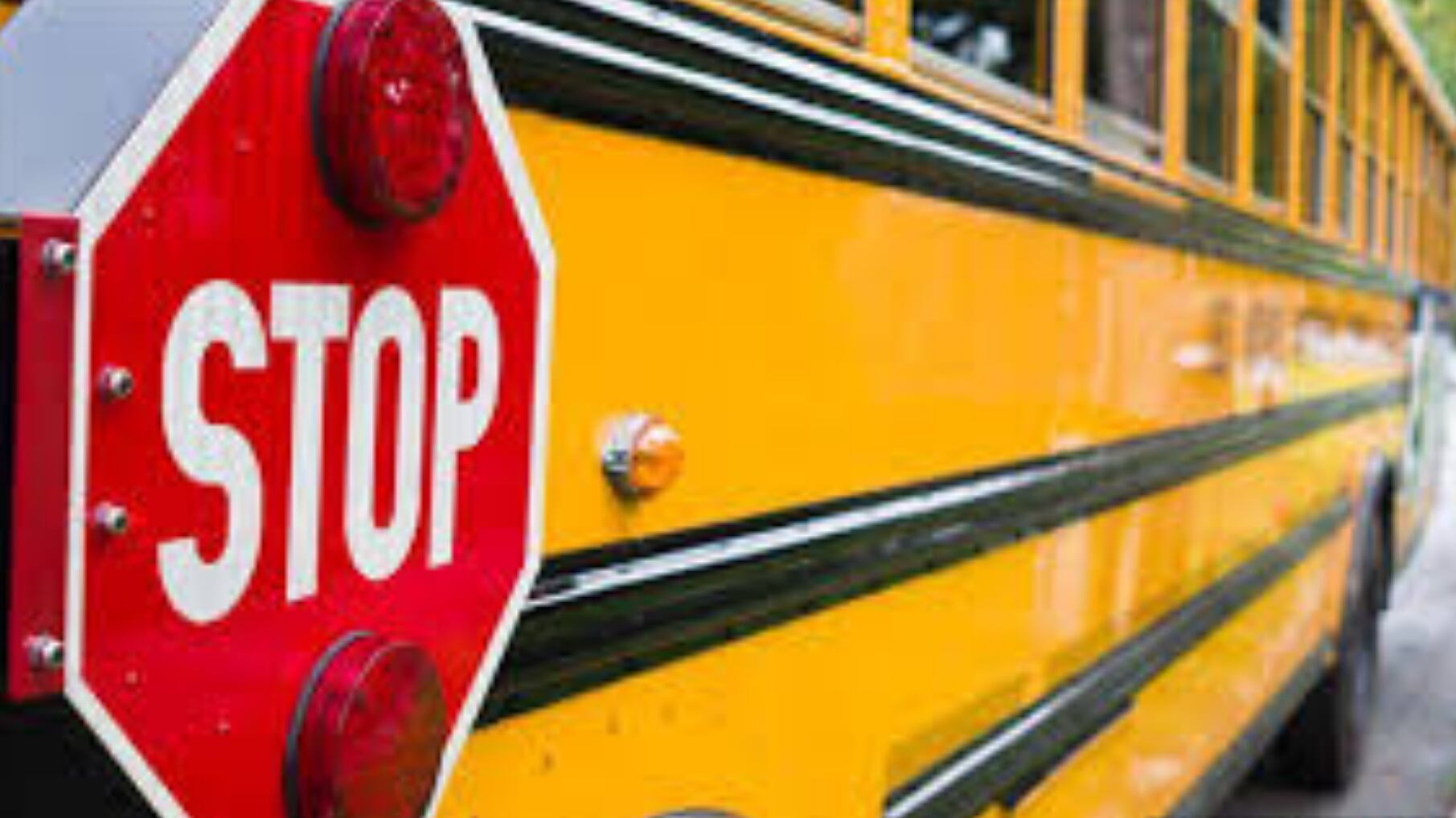Former school bus driver pleads guilty to reckless driving