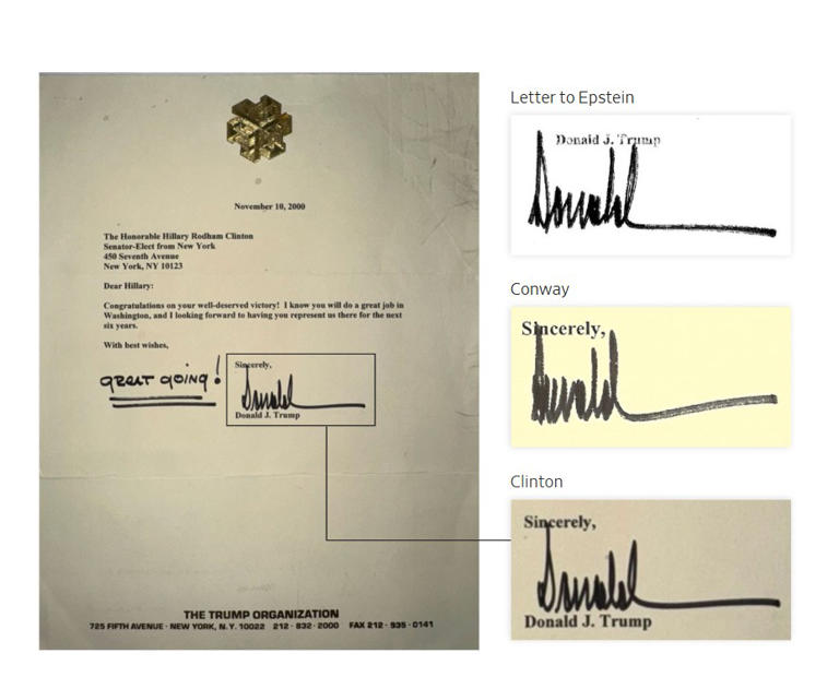 ‘Real 2+2=5 Stuff Here’: Karoline Leavitt Brutally Roasted For Trump ...