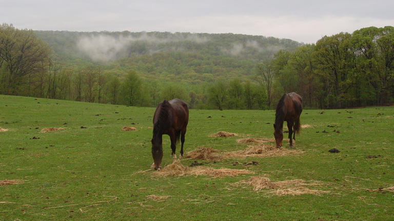 Maryland's 'Gateway To The Mountains' Is Surrounded By Scenic Trails ...