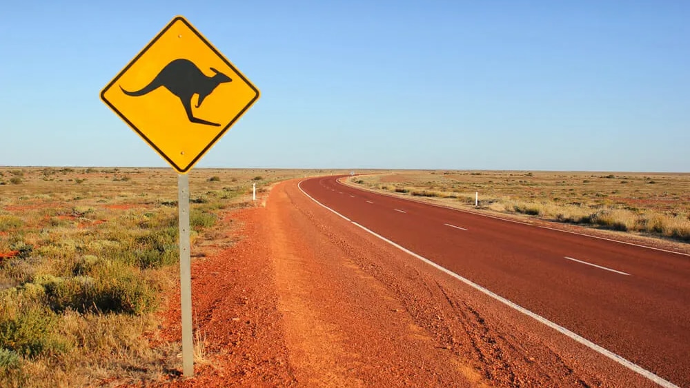 WA firearm reforms spark animal welfare, biosecurity concerns amid ...