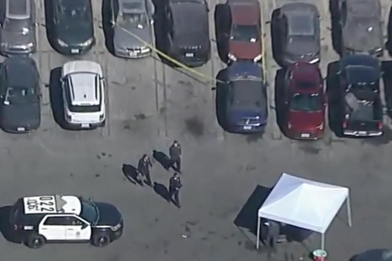 Singer D4vd’s Tesla found in LA impound with dead body in the trunk