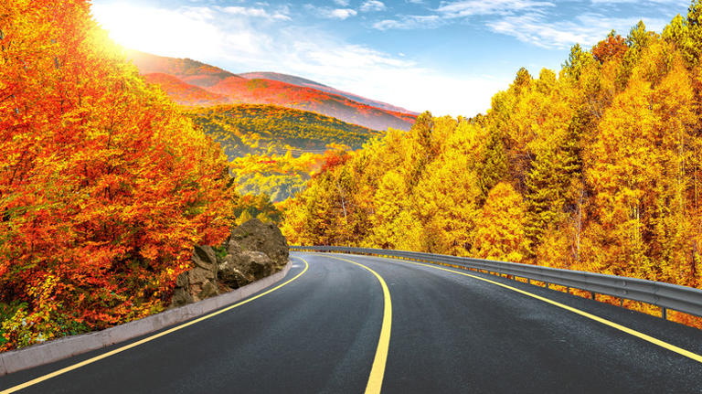 This Fall Foliage Map Shows Exactly When To See Peak Color Across The US