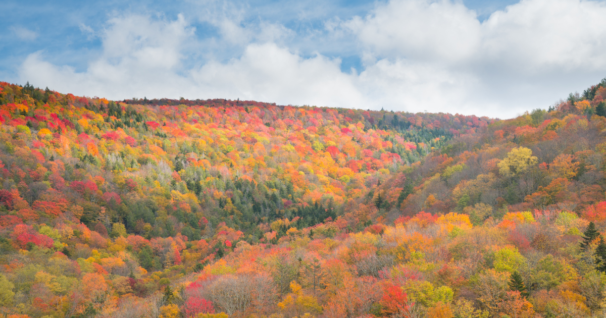 The Best Times and Places to View West Virginia's Fall Foliage in 2025