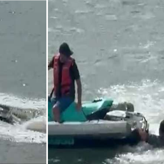 Cruise ship passenger jumps overboard allegedly to avoid $16,000 ...